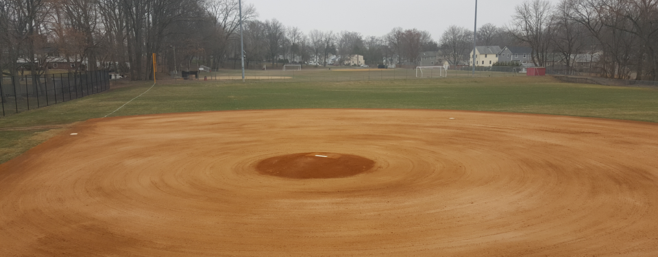 Home [www.emersonbaseball.com]